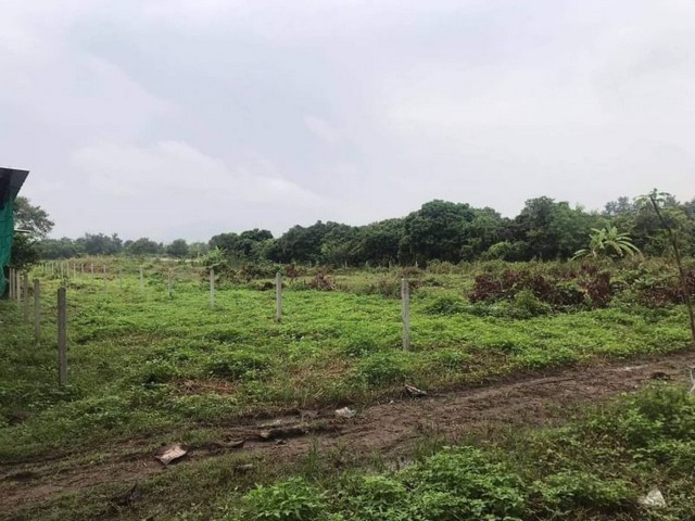 臨水之地，陰涼大氣，涼爽舒適，售價250萬塊，面