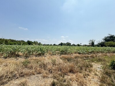 PO225 ด่วนลดราคา ขายบ้าน เดอะ แพลนท์ พระราม 9 วงแหวน 2 บ้านสวยมาก